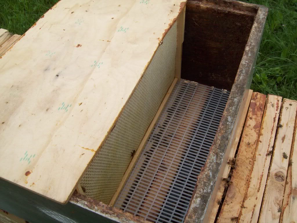 Adding a super to a top bar hive | Beesource Beekeeping Forums